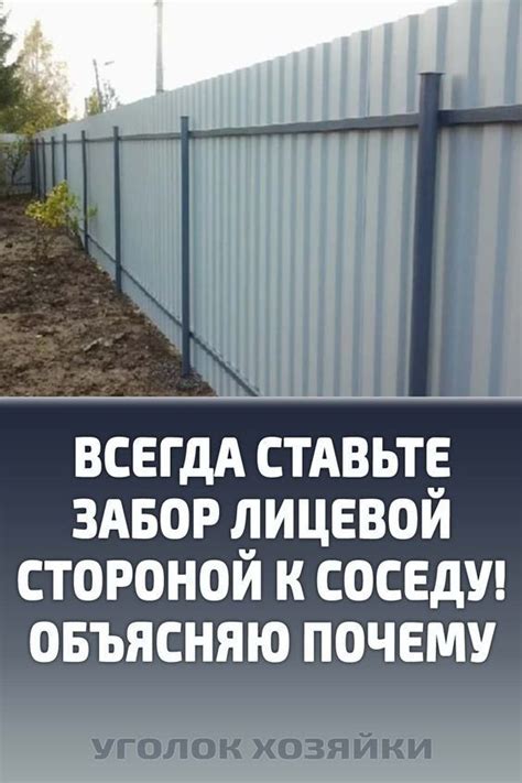 Для дачи Заборы заднего двора Озеленение для укрытия от любопытных глаз Озеленение веранды