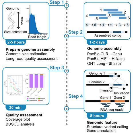 Genome Assembly Hands On Training Introduction To Genome Assembly