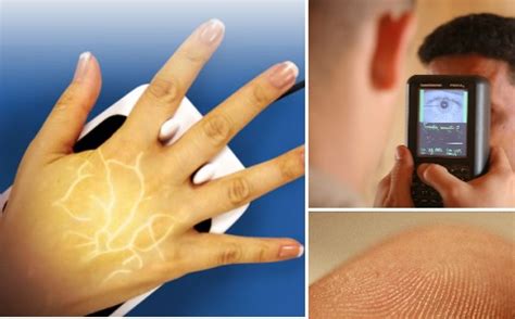 Multimodal Biometric System For Human Identification