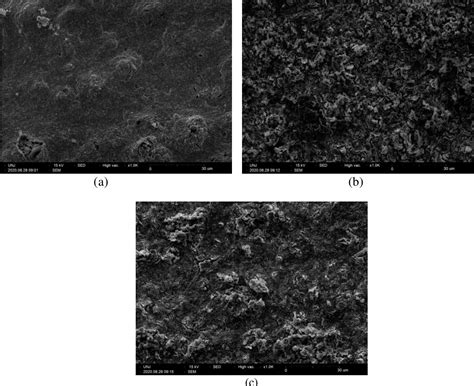 Figure 1 From Morphology Of Ni Tin Si3n4 Composite Coatings At High Temperature Oxidation