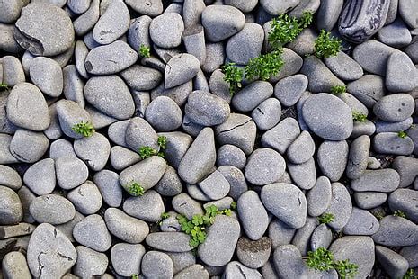 HD Wallpaper Gray Rock Floor Grey Mobile Wallpaper Stone Texture Backgrounds Wallpaper