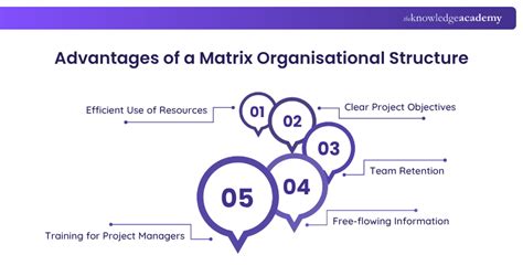 What Is A Matrix Organisational Structure Explained