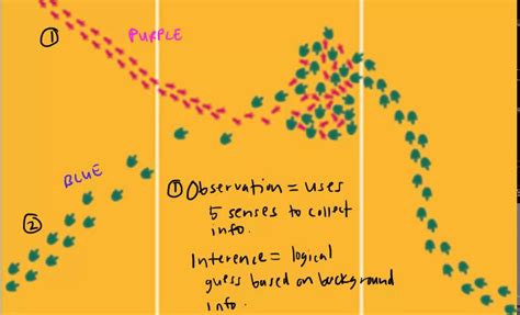 Observation And Inference Pictures