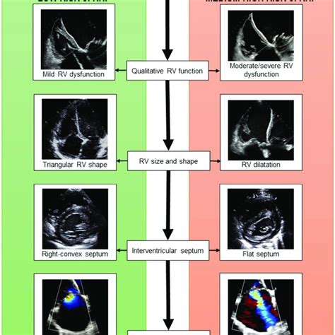 Echocardiographic Parameters Of Rv Performance That Guide D Lvad