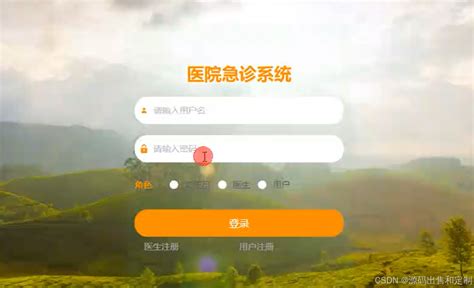 附论文基于springboot和vue的医院急诊系统327 Csdn博客