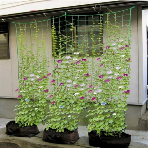 trellis netting 3 x 6 foot plant support net polyester green garden