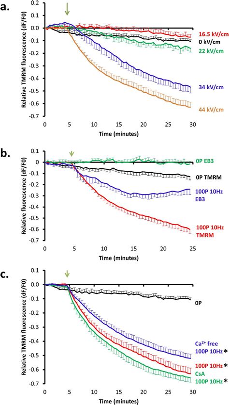 Loss Of ΔΨ M Is Temporally Correlated With Microtubule Disruption And Download Scientific