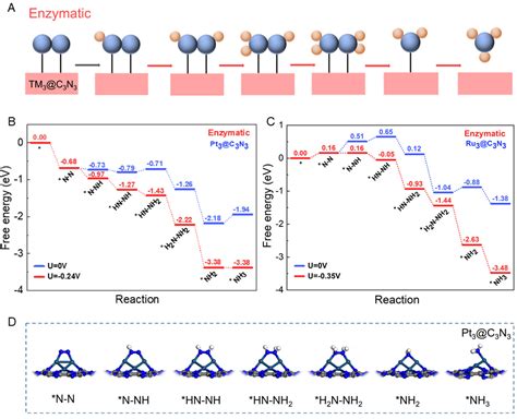 Computational Design Of Spatially Confined Triatomic Catalysts For Nitrogen Reduction Reaction