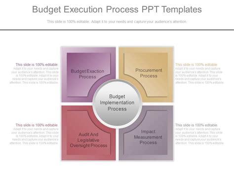 Budget Execution Process Ppt Templates Graphics Presentation Background For Powerpoint Ppt