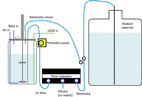 16 Schematic Of Bioreactor Download Scientific Diagram