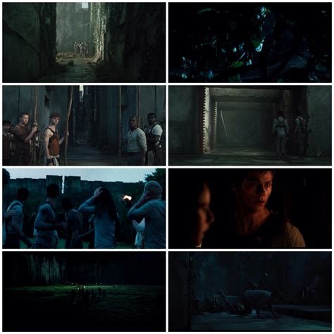 The Maze Runner Thomas Teresa Gally Newt Alby Minho Chuck Fry Pan Ben Zart Clint Jeff