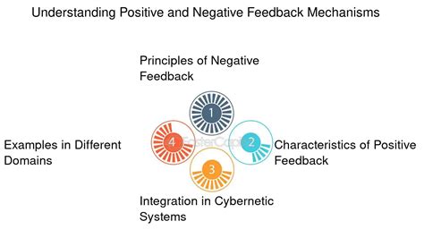 Negative Feedback Loop