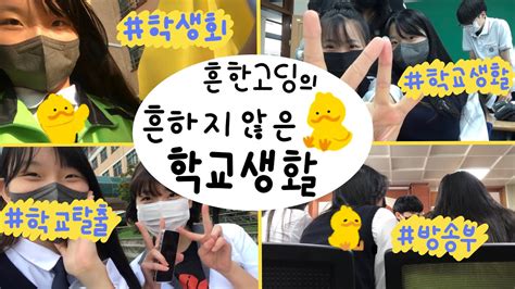 흔한고딩의 흔하지 않은 학교생활 Youtube