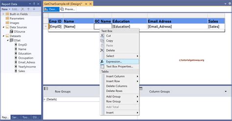 Ssrs Getchar Function