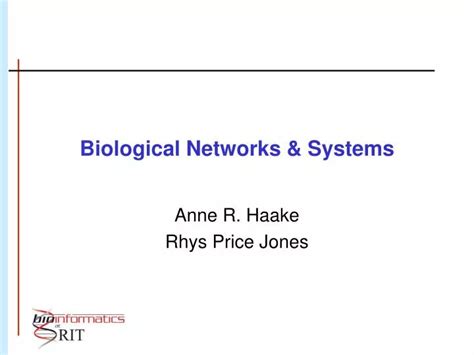 PPT Biological Networks Systems PowerPoint Presentation Free Download ID 4410737