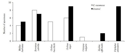 Distribution Of The Observed Species In Visual Census Method Download Scientific Diagram