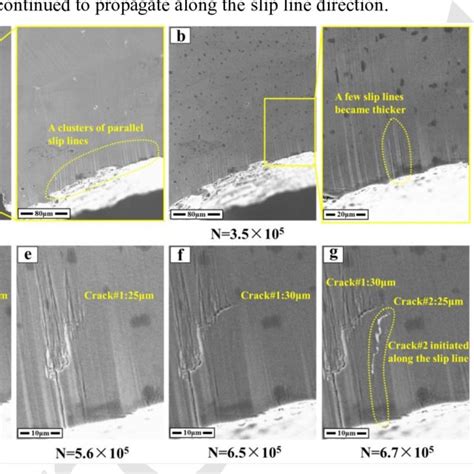 Fatigue Crack Initiation And Propagation Process At 300℃ A N 1×10 4 Download Scientific