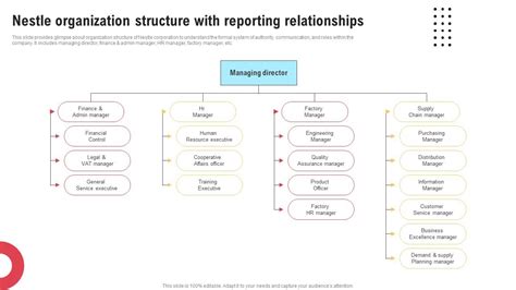 Comprehensive Strategic Governance Nestle Organization Structure With Reporting Relationships