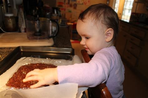 Homemade Lara Bars Yuppies With A Chicken Wish