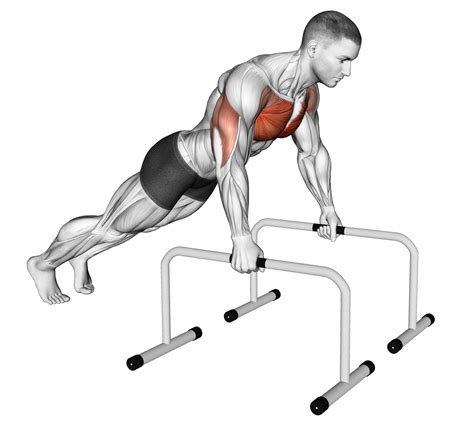 Push Up Bars: Are there any Benefits to Using Them? - Inspire US