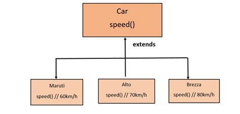 Solved Write The Program To Implement The Inheritance And