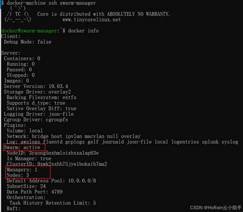 swarm 集群管理 如 swarm 集群 csdn博客