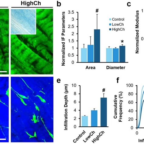 Modulating Matrix Microstructure In The Absence Of Altered