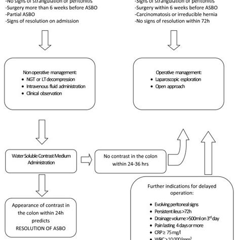 evidence based algorithm for management and treatment of asbo