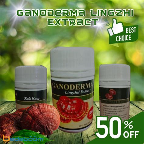 Ganoderma Lingzhi Extract