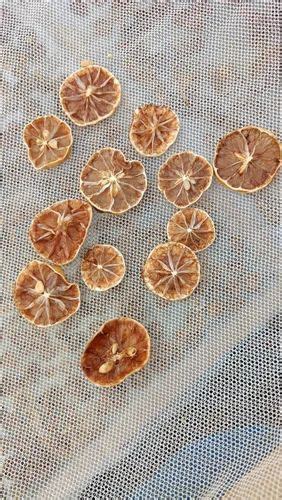 A Grade Dry Lemon Chip 1 Kg At ₹ 350kg In Kanpur Id 2855527990033