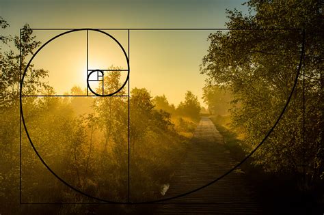 Fibonacci Spiral Photography