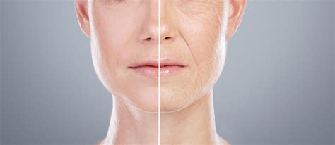 Stem Cells May Be Pivotal In Combatting Ageing Research Shows