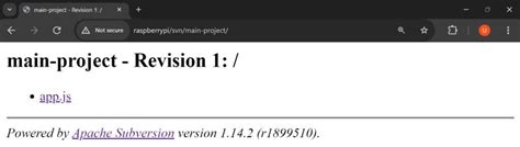 Svn Server On Raspberry Pi A Complete Installation Guide Raspberrytips
