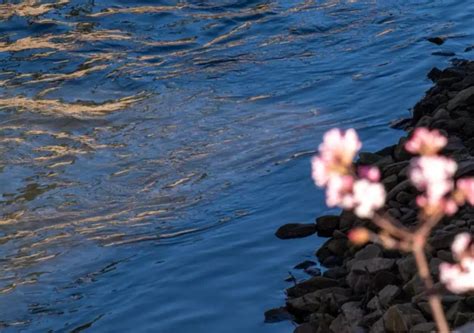 Mif23 Each Tiny Drop At Mayfield Park Creative Tourist