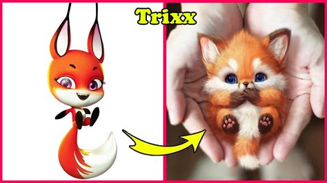 Miraculous Ladybug Kwamis In Real Life 💥 All Characters 👉 Plentylive