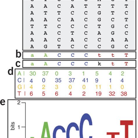 Graphical Flowchart Showing The Links Between Regulatory Sequence Graphical Flowchart Showing The Links Between Regulatory Sequence