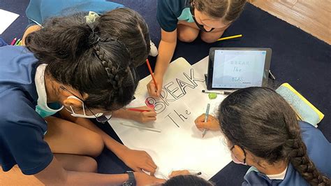 Equity Diversity And Inclusion In Primary