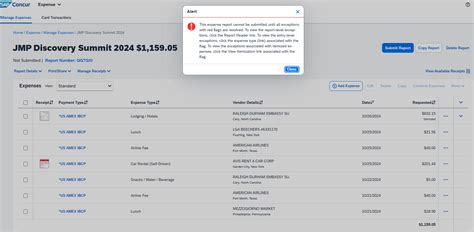 Unable To Submit Report Due To Red Flag Exceptions Sap Concur Community