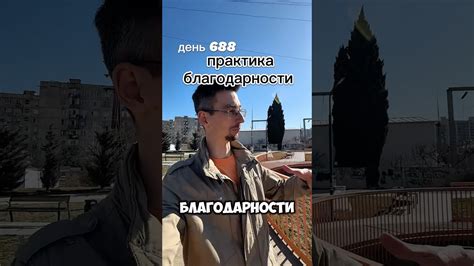 практика благодарности Youtube