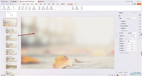 Wps如何设置上ppt占位符？ Wps Ppt演示文稿设置占位符的方法 极光下载站