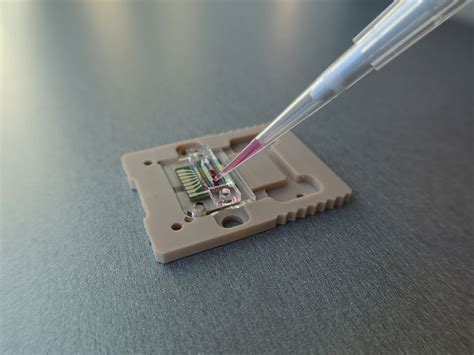 Nanopore Sequencing Explained Uses Benefits And Innovations