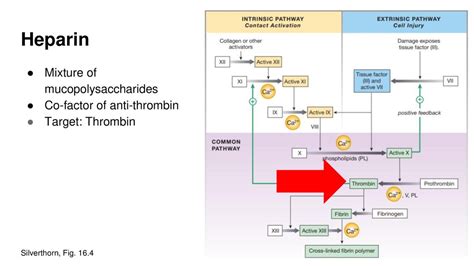 Clinical Use Of Coagulation Inhibitors Ppt Download