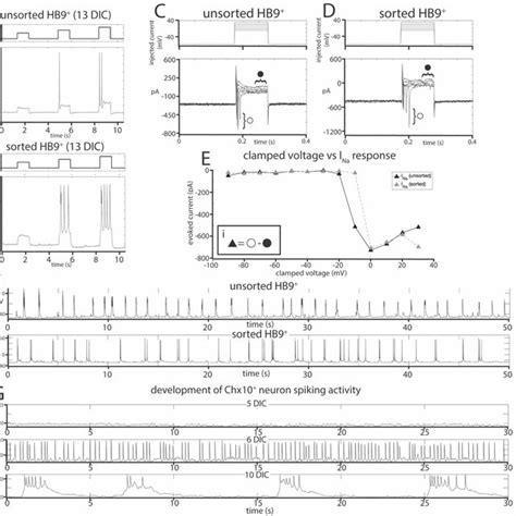 Effects Of Facs Sorting On Neuron Electrophysiology A B Comparison Of Download Scientific