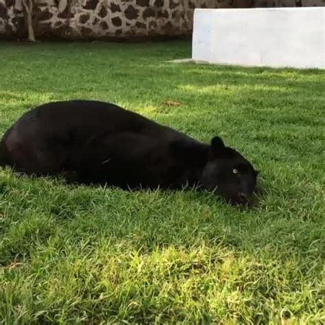 Post 163525548587 Healthy Tumbex Post 163525548587 Healthy Tumbex