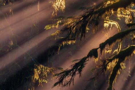 Trevor Anderson Flickr