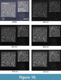 Multispectral Detection