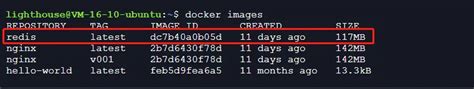 Docker安装redis并使用another Redis Desktop Manager连接 阿里云开发者社区