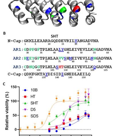 Homology Model A And Amino Acid Sequence B Of Darpin Sht Showing
