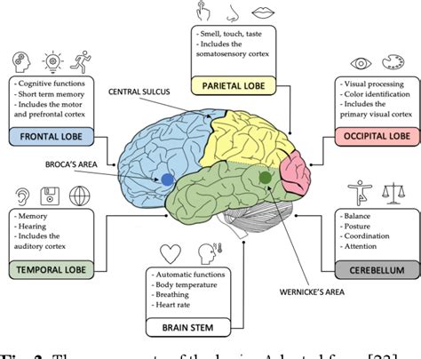 figure 2 from the role of eeg based brain computer interface using machine learning techniques