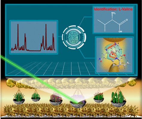 Quinine Fabricated Surface Enhanced Raman Spectroscopy Chiral Sensing